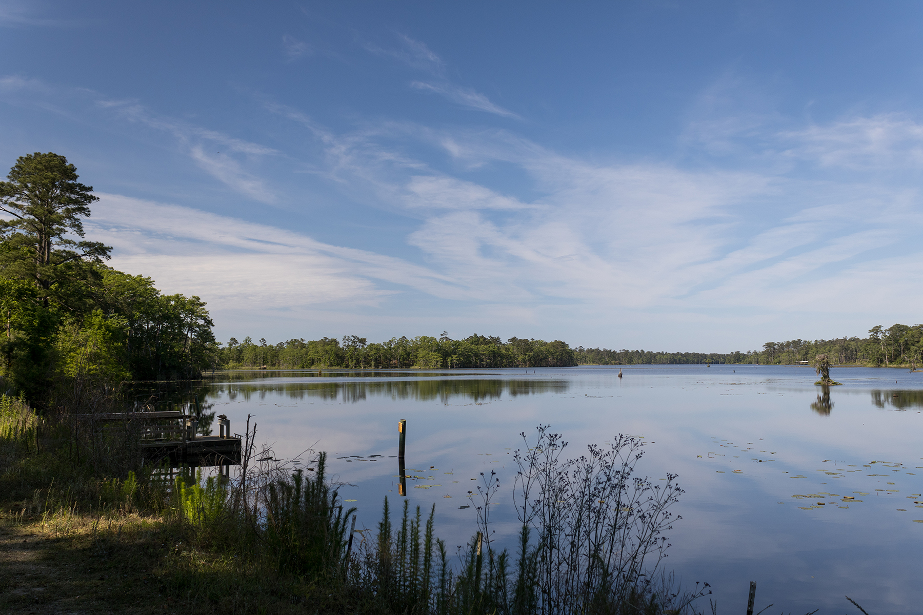 Orton Pond - Where the Dogwood Blooms