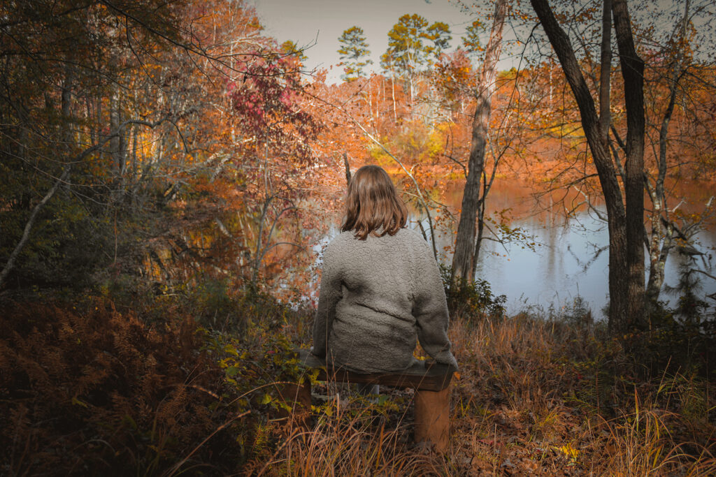 Forest Bathing in State Road - Where the Dogwood Blooms
