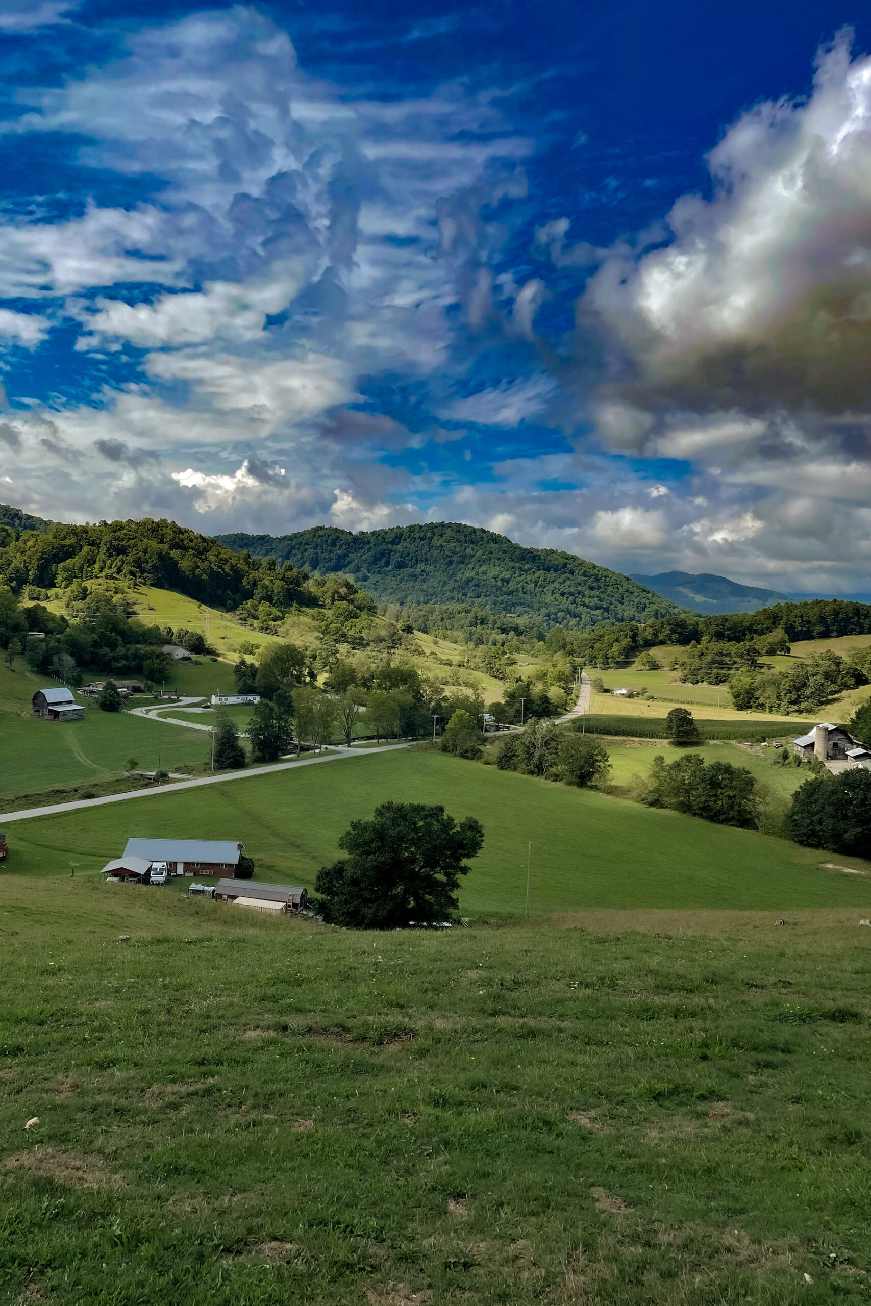 Southern Rock - Where the Dogwood Blooms