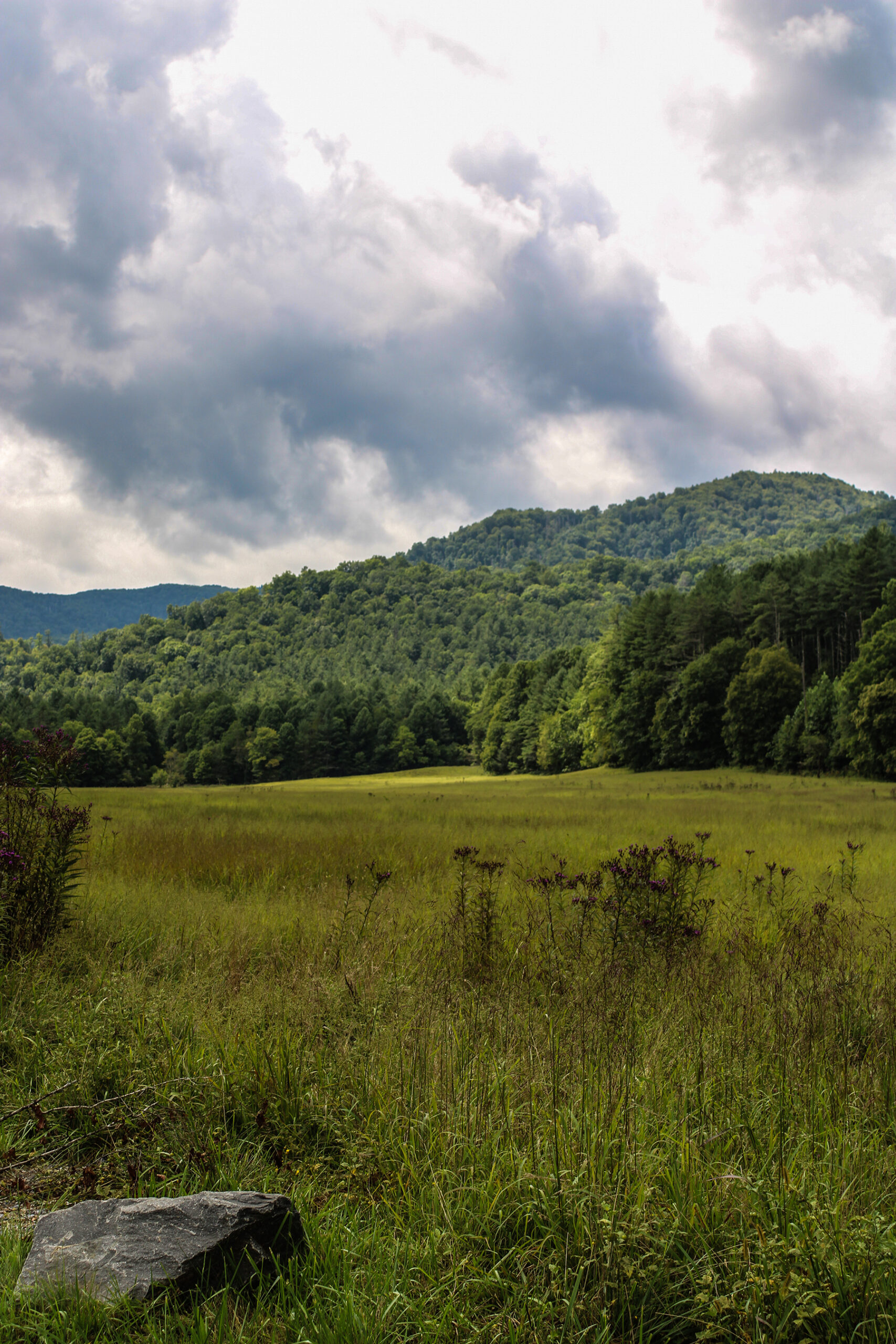 10 Things to Do the Next Time You're in Haywood County - Where the ...