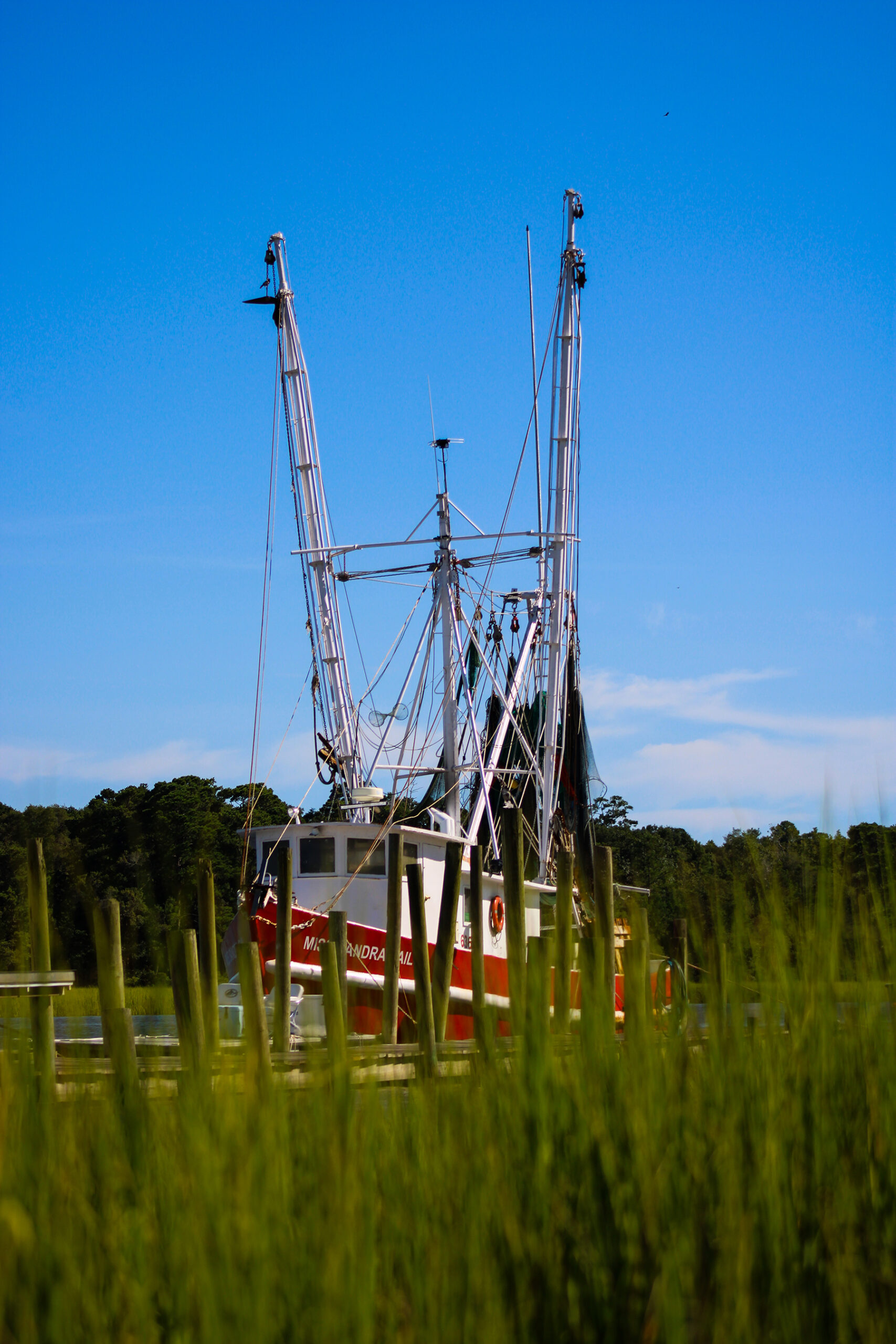 Calabash - Where the Dogwood Blooms