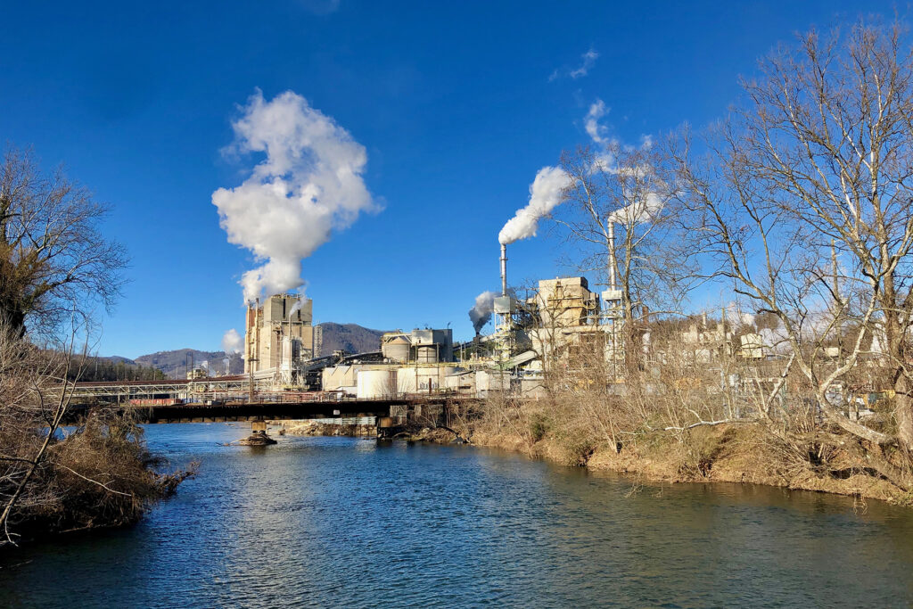 Champion - Where the Dogwood Blooms