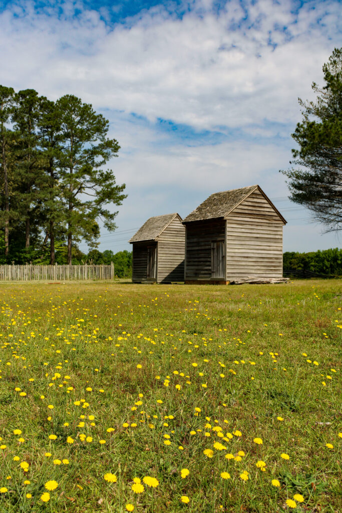 Aycock Birthplace - Where the Dogwood Blooms