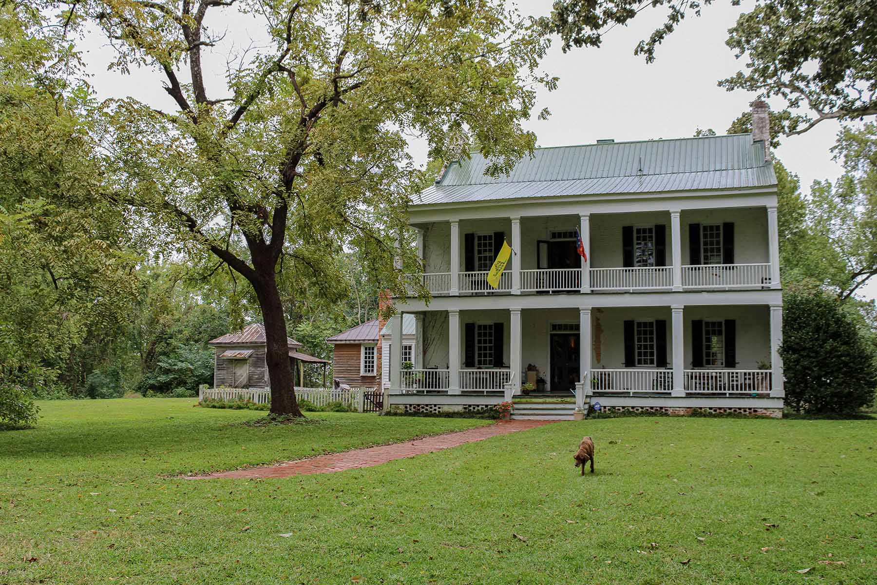 Purdie Hall - Where the Dogwood Blooms