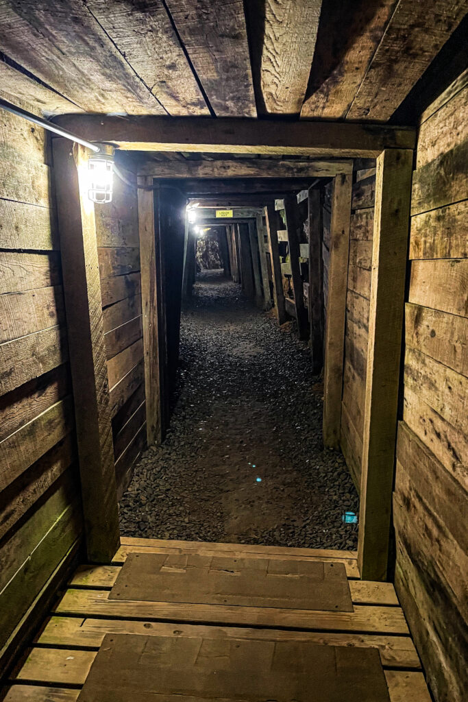 Reed Gold Mine - Where the Dogwood Blooms