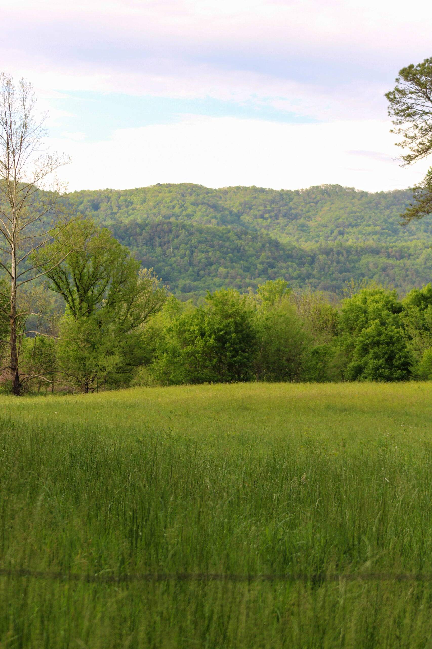 10 Rules For Visiting the Great Smokies - Where the Dogwood Blooms