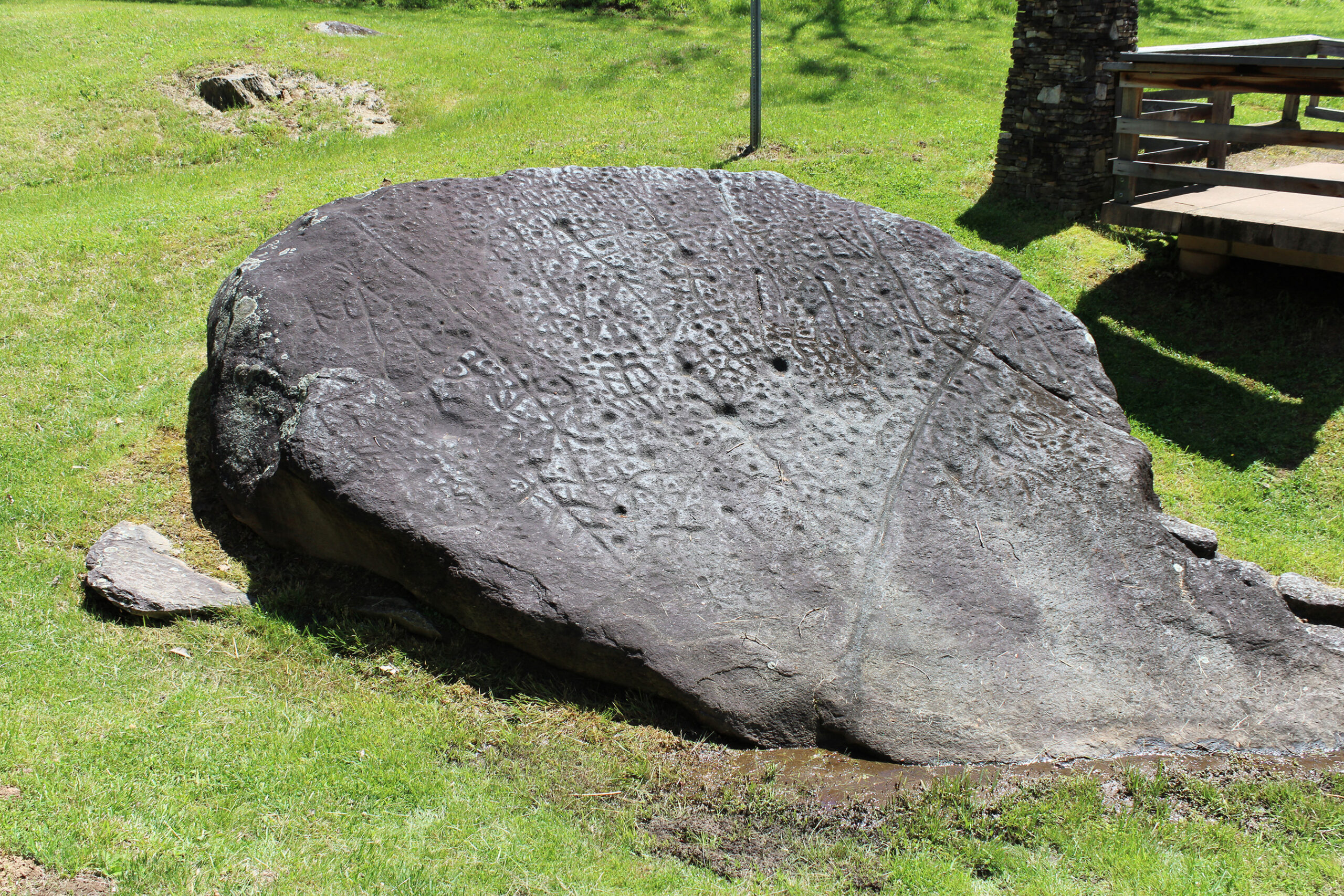Judaculla Rock - Where the Dogwood Blooms